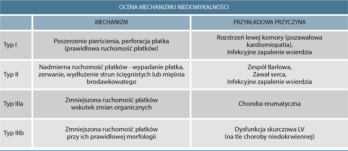 Zastawka mitralna - wprowadzenie teoretyczne | Polpharma Dla Ciebie